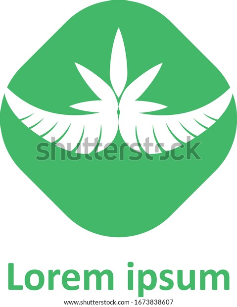 Cannabis Plant Logo Vector Design Stock Vector (Royalty Free ...