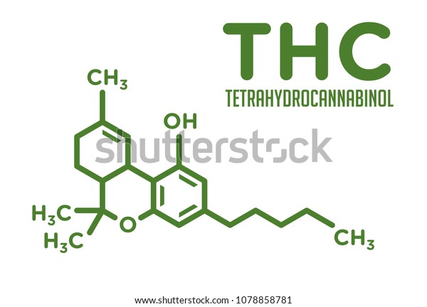 Cannabis Vector Logo Thc Icon Stock Vector (Royalty Free) 1078858781