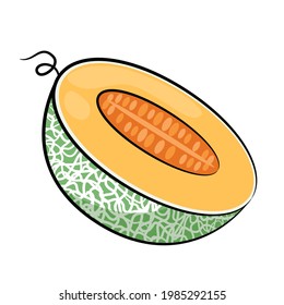 Cantaloupe Drawing Style Isolated Vector Hand Stock Vector (Royalty ...