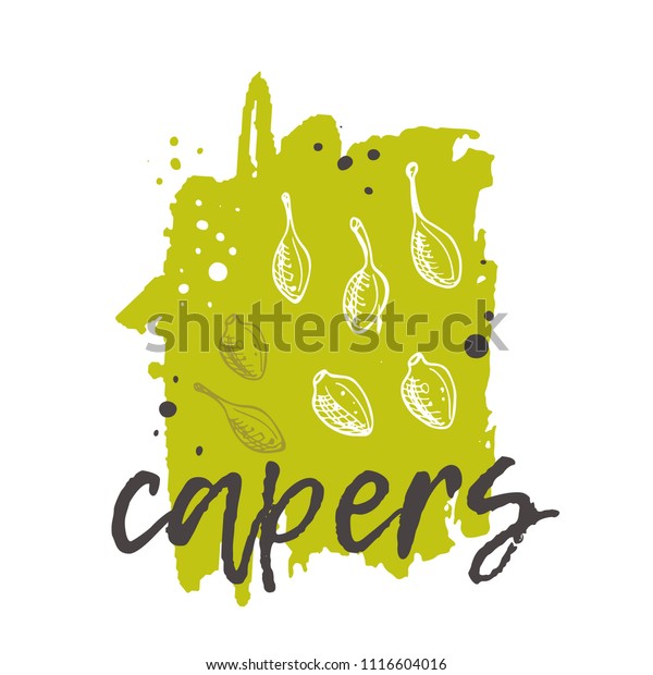 Capers Concept Design Hand Drawn Vector Stock Vector (Royalty Free ...