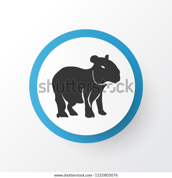 Capybara Icon Symbol Premium Quality Isolated Stock Vector (Royalty ...