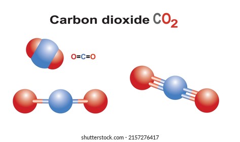 Carbon Dioxide Co2 Center Science Education Stock Vector (Royalty Free ...