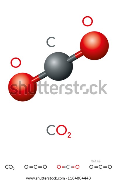 Carbon Dioxide Co2 Molecule Model Chemical Stock Vector (Royalty Free ...