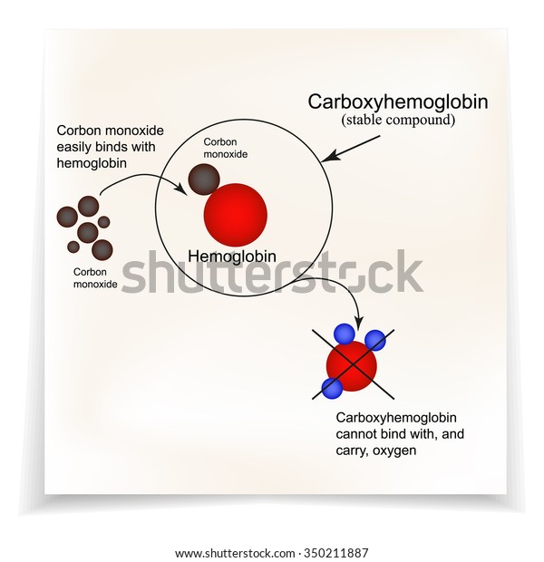 Carboxyhemoglobin Joining Hemoglobin Carbon Monoxide Inability 스톡 벡터 ...