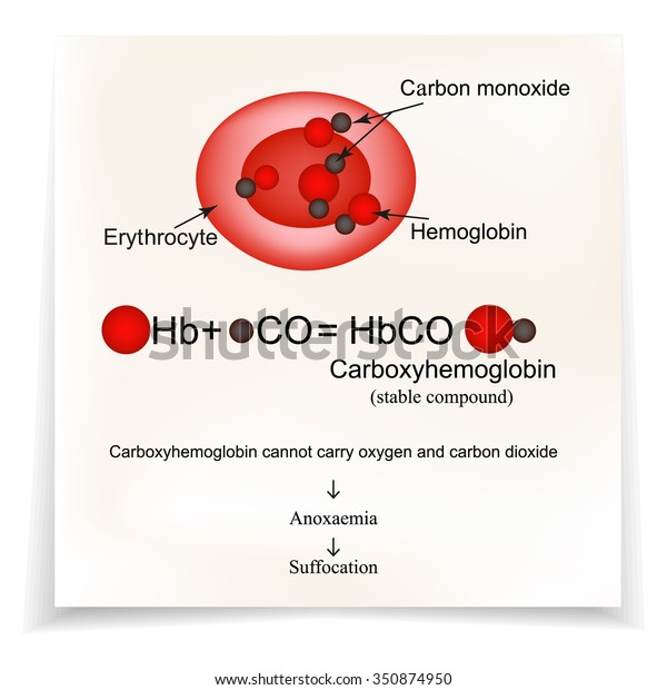 Carboxyhemoglobin Joining Hemoglobin Carbon Monoxide Carbon Stock ...