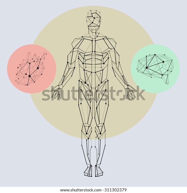 Carcass Black Lines Human Internal Organs: เวกเตอร์สต็อก (ปลอดค่า ...