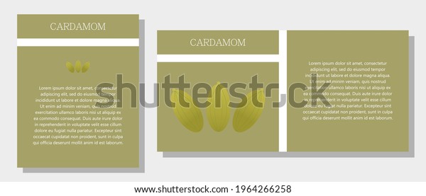 Cardamom Information Banner Tag Two Designs Stock Vector (Royalty Free ...