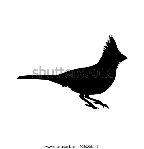 Cardinal Bird Silhouette Vector Illustration Stock Vector (Royalty Free ...