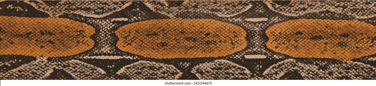 Carmel Boa Constrictor Skin Border Background Stock Vector (Royalty ...