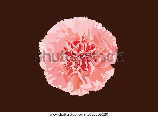 Carnation Flower Vector Art Design Stock Vector (Royalty Free) 1082506220