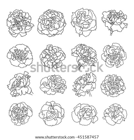 Carnation Line Drawing | Free download on ClipArtMag