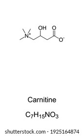 191 Carnitine structure Images, Stock Photos & Vectors | Shutterstock