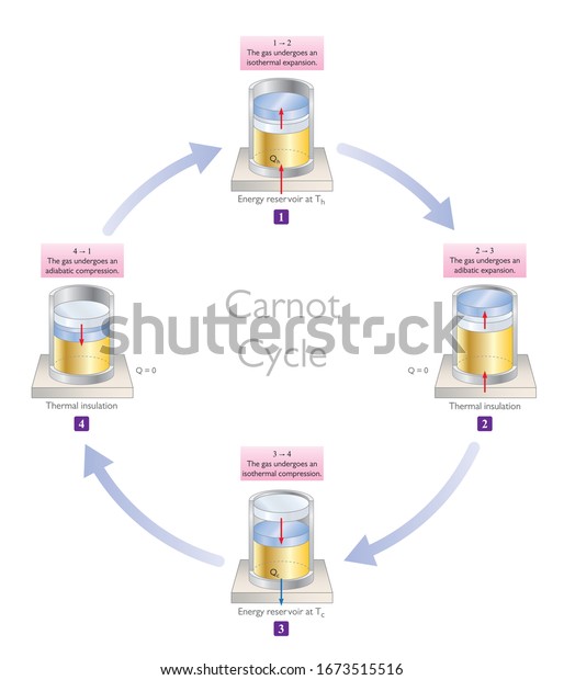 Carnot Cycle Physics Heat Engines Entropy Stock Vector (Royalty Free ...