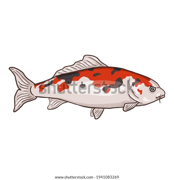 Carp Fish Cartoon Vector Illustration Side Stock Vector (Royalty Free ...