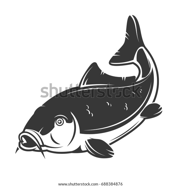 Carp Fish Isolated On White Background Stock Vector (Royalty Free ...