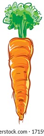 Carrot Top Vector Illustration Isolated On: เวกเตอร์สต็อก (ปลอดค่า ...