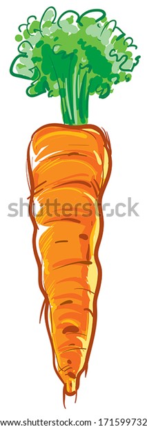 Carrot Top Vector Illustration Isolated On: เวกเตอร์สต็อก (ปลอดค่า ...