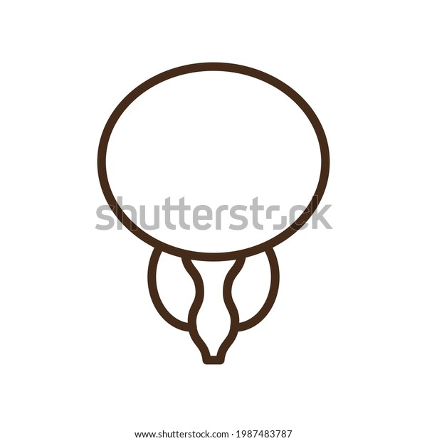 Cartoon Benign Prostate Vector Illustration Icon Stock Vector (Royalty ...