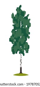 Cartoon Birch Tree On Transparent Background Stock Vector (Royalty Free ...