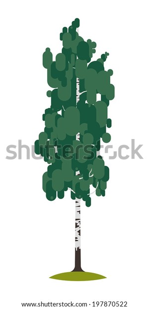 Cartoon Birch Tree On Transparent Background Stock Vector (Royalty Free ...