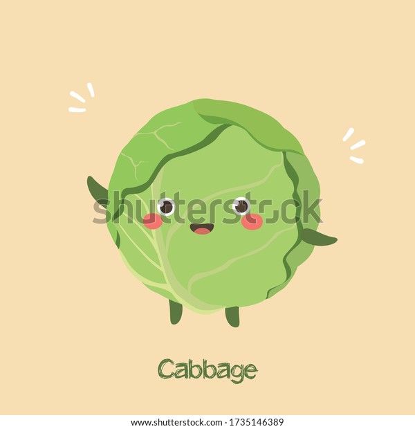 Cartoon Cabbage Vector Food Illustration Stock Vector (Royalty Free ...