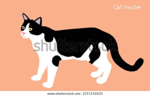 Cartoon Cat Cat Behavior Body Language Stock Vector (Royalty Free ...