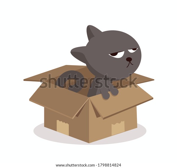 Cartoon Cat Box Cardboard Box Vector Stock Vector (Royalty Free ...