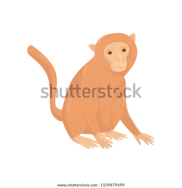 Cartoon Character Big African Monkey Wild Stock Vector (Royalty Free ...