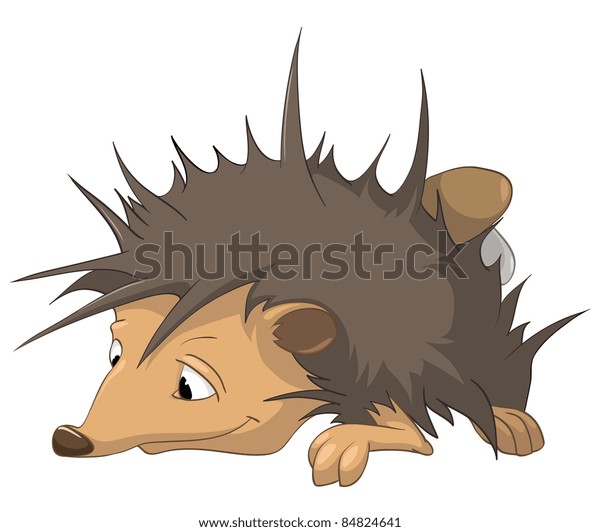 Cartoon Character Hedgehog Isolated On White Stock Vector (Royalty Free ...