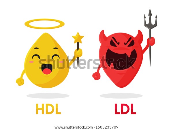 Cartoon Cholesterol Hdl Ldl Components Good Stock Vector (Royalty Free ...