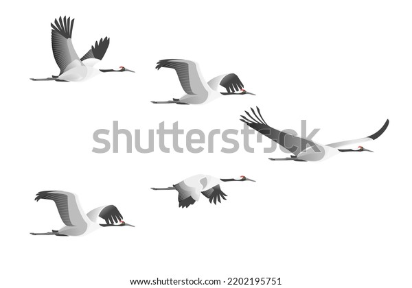 Cartoon Color Characters Flight Cranes Set Stock Vector (Royalty Free ...