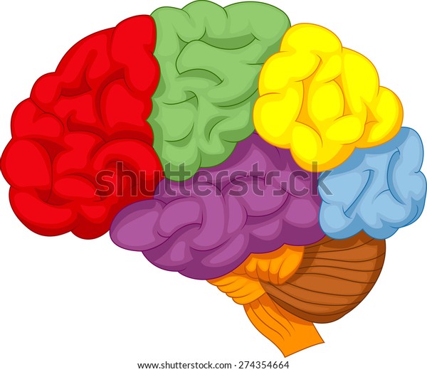 Cartoon Colorful Brain Stock Vector (Royalty Free) 274354664 | Shutterstock