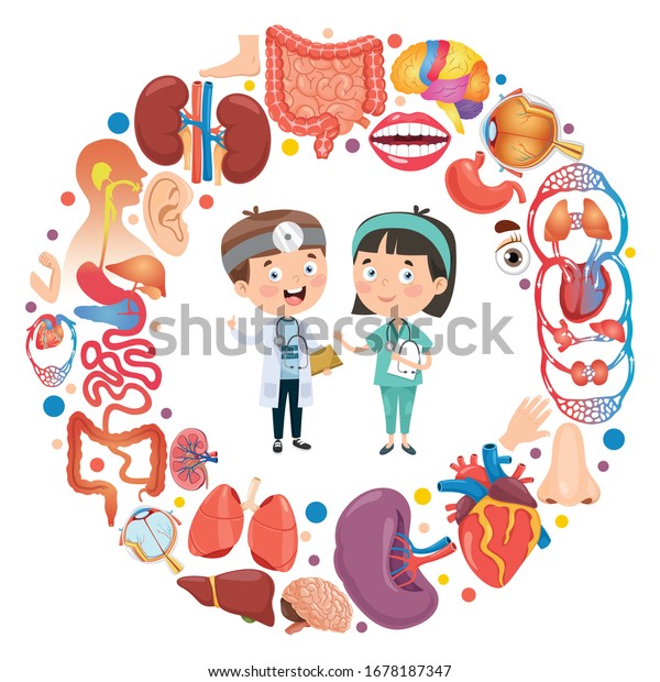 Cartoon Concept Human Organs Stock Vector (Royalty Free) 1678187347 ...