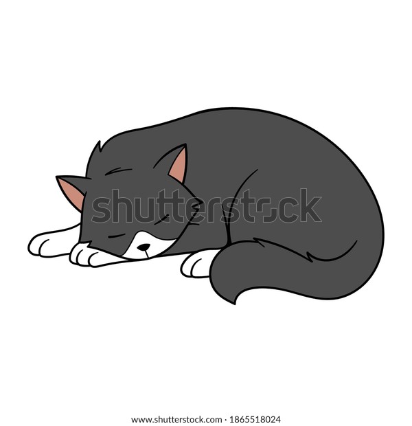 Cartoon Curled Cat Illustration Stock Vector (Royalty Free) 1865518024 ...