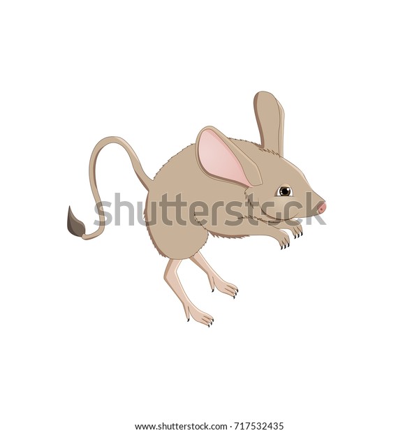 Cartoon Cute Jerboa On White Background Stock Vector (Royalty Free ...