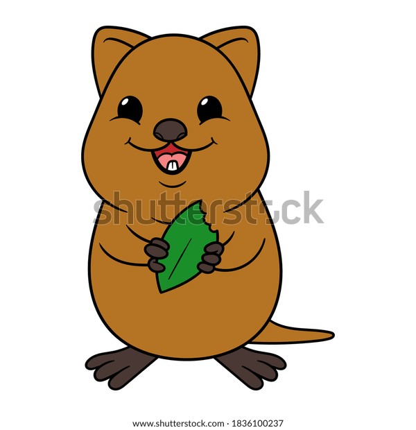 Cartoon Cute Quokka Vector Illustration Stock Vector (Royalty Free ...