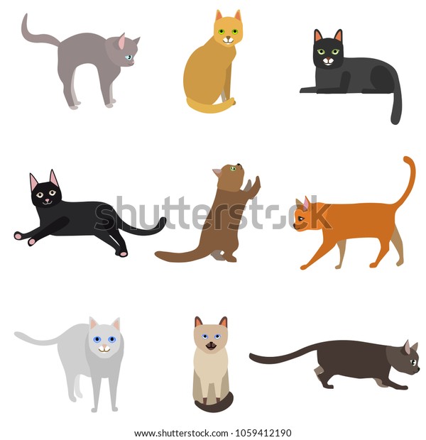 Cartoon Different Types Cute Cats Characters Stock Vector (Royalty Free ...