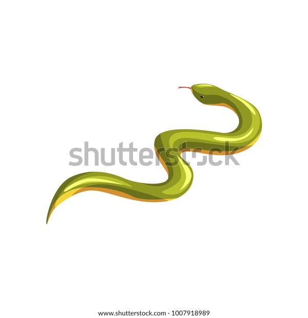Cartoon Eastern Green Mamba Dangerous Tropical Stock Vector (Royalty ...