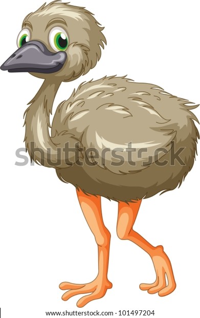 Cartoon Emu On White Stock Vector (Royalty Free) 101497204 | Shutterstock