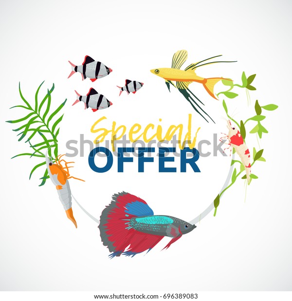 Cartoon Flat Aquarium Banners Fish Isolated Stock Vector (Royalty Free ...