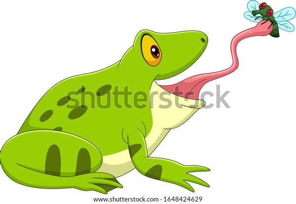 Cartoon Frog Catching Fly Stock Vector (Royalty Free) 1648424629