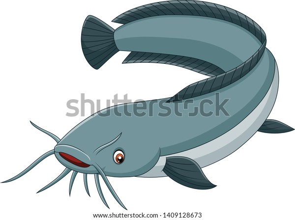 Cartoon Funny Catfish On White Background Stock Vector (Royalty Free ...