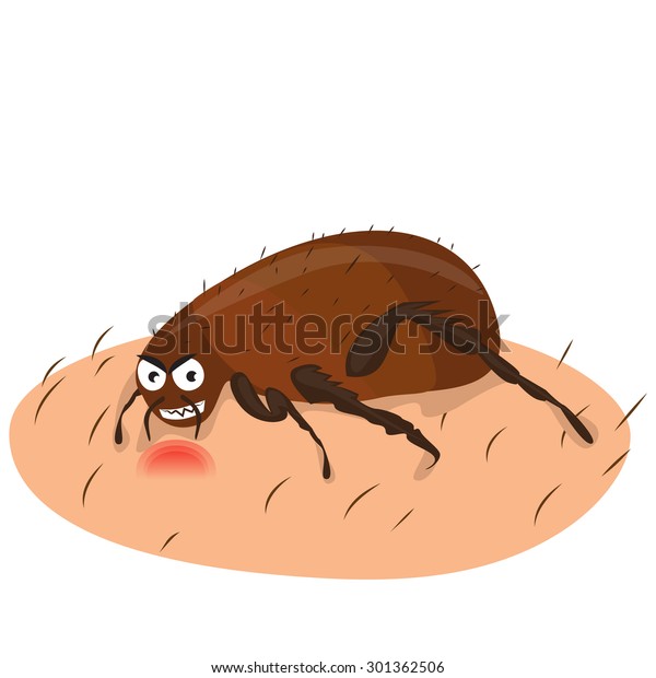 Cartoon lustige Flohgrafik auf weißem Hintergrund. Flöhe auf der Haut ...