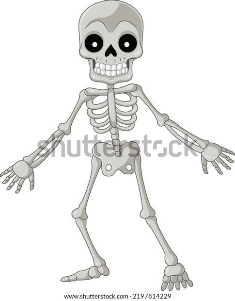 Cartoon Funny Skeleton On White Background Stock Vector (Royalty Free ...