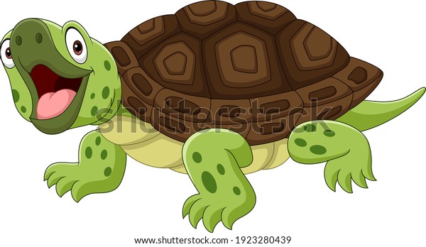Cartoon Funny Turtle Isolated On White Stock Vector (Royalty Free ...