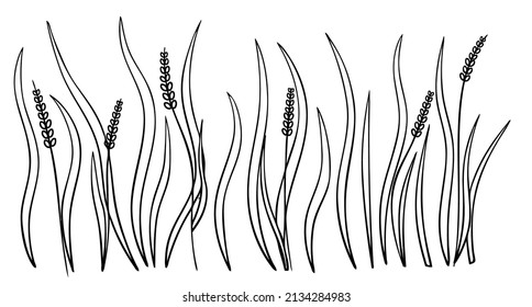 27,268 Grass coloring page Images, Stock Photos & Vectors | Shutterstock