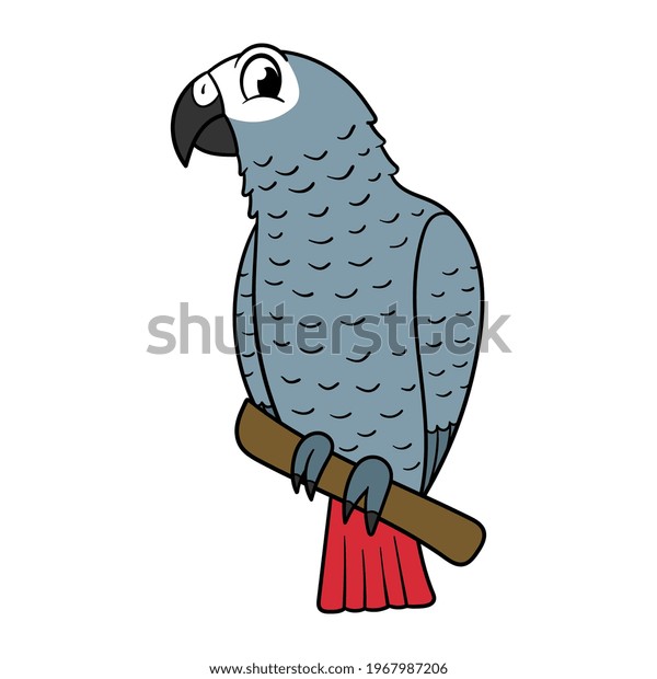 Cartoon Grey Parrot Vector Illustration Stock Vector (Royalty Free ...