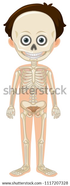Cartoon Human Anatomy Illustration Stock Vector (Royalty Free ...