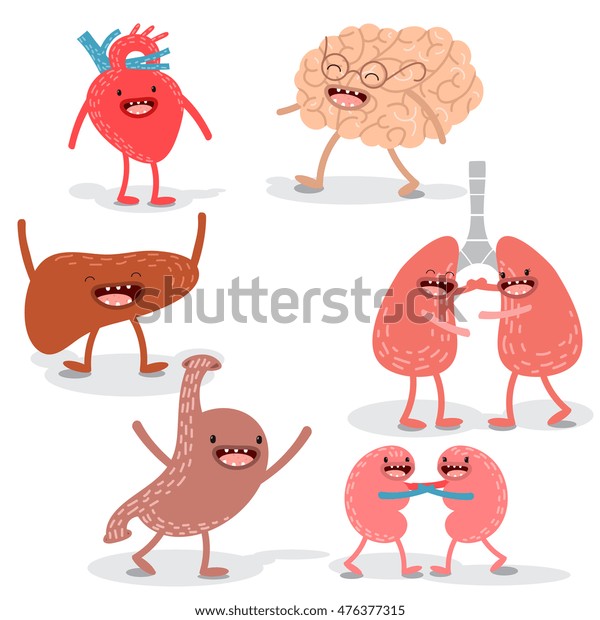 Cartoon Human Organs Vector Set Healthy: เวกเตอร์สต็อก (ปลอดค่า ...