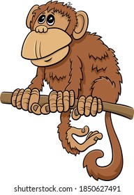 Cartoon Illustration Comic Monkey Primate Animal: เวกเตอร์สต็อก (ปลอด ...